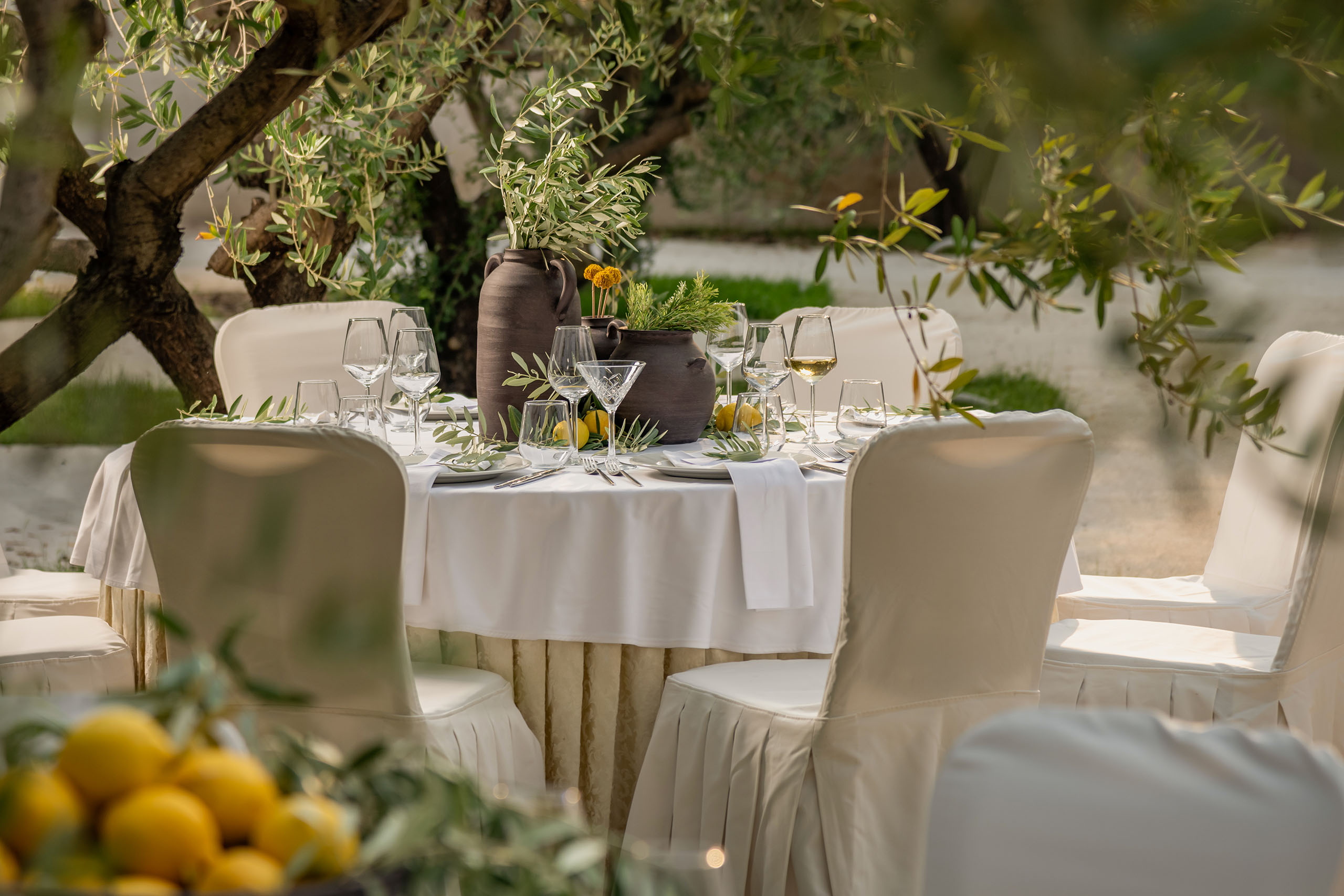 Images & Video - Hotel President Solin