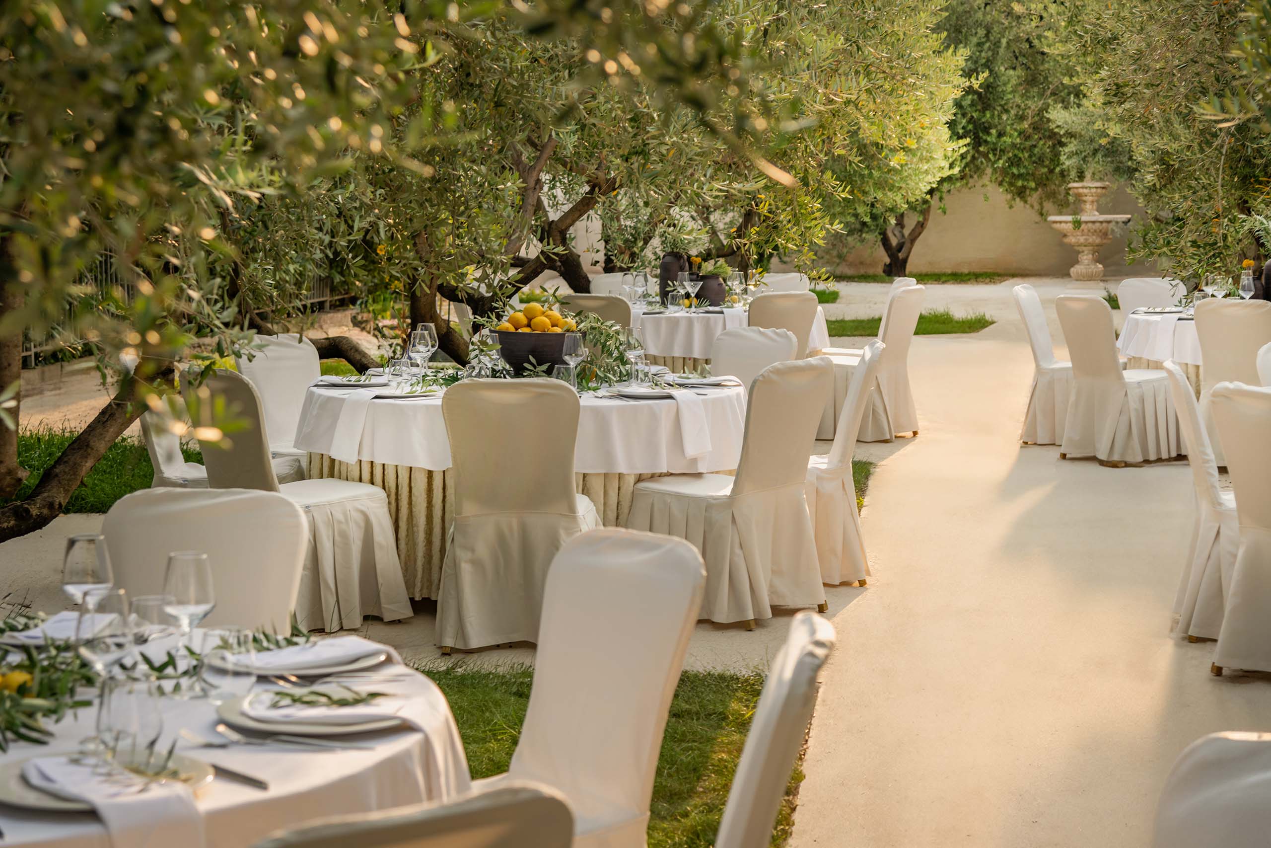 Images & Video - Hotel President Solin