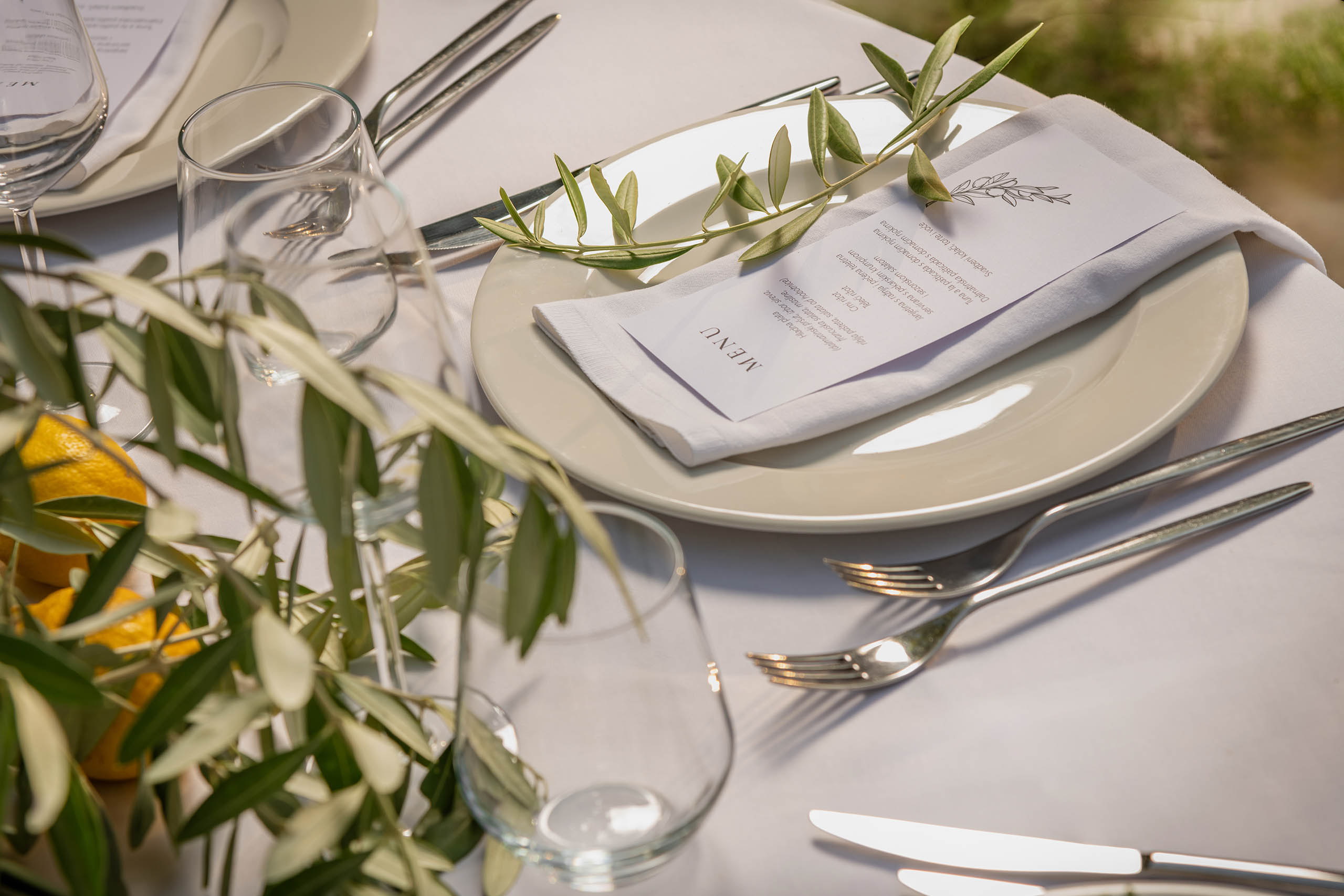 Images & Video - Hotel President Solin